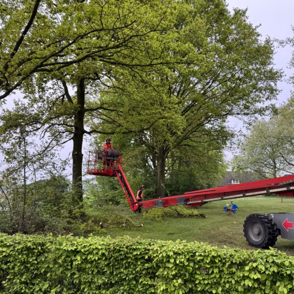Home - Nooijen Groen & Boom